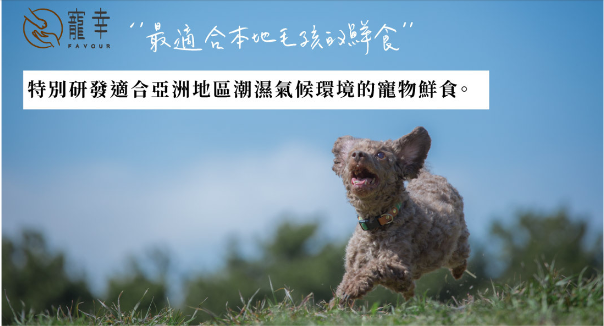 ** Exclusive Offer Now** Favour Chicken Drumstick – Searching C MY